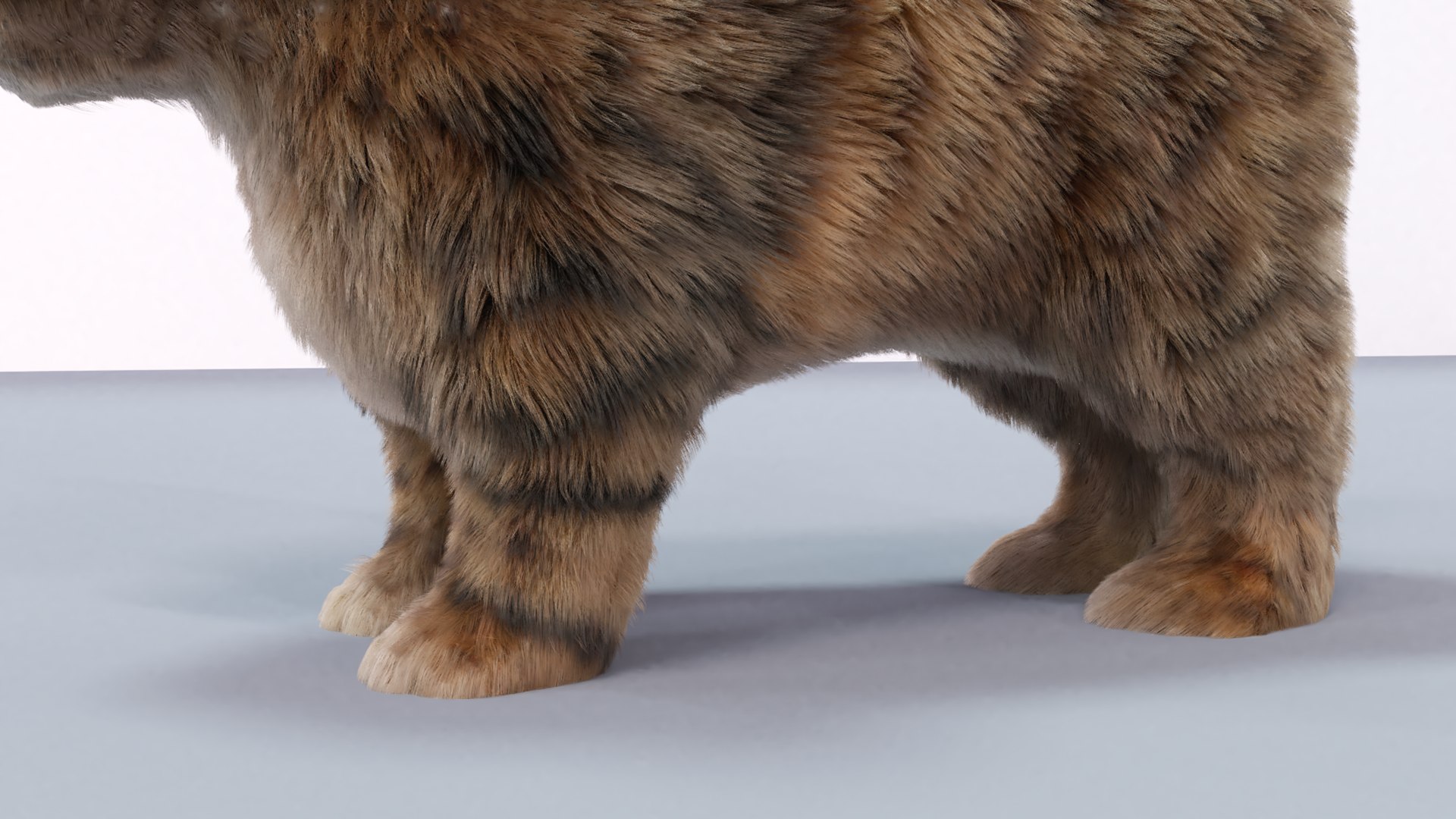Cute Hair Fur Cat 3D Model - TurboSquid 1705713