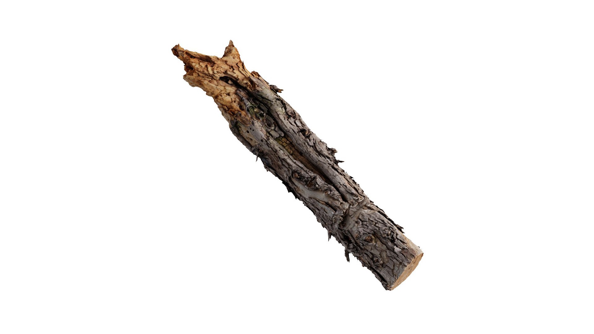 Big Old Log Fbx 3D Model - TurboSquid 1753449