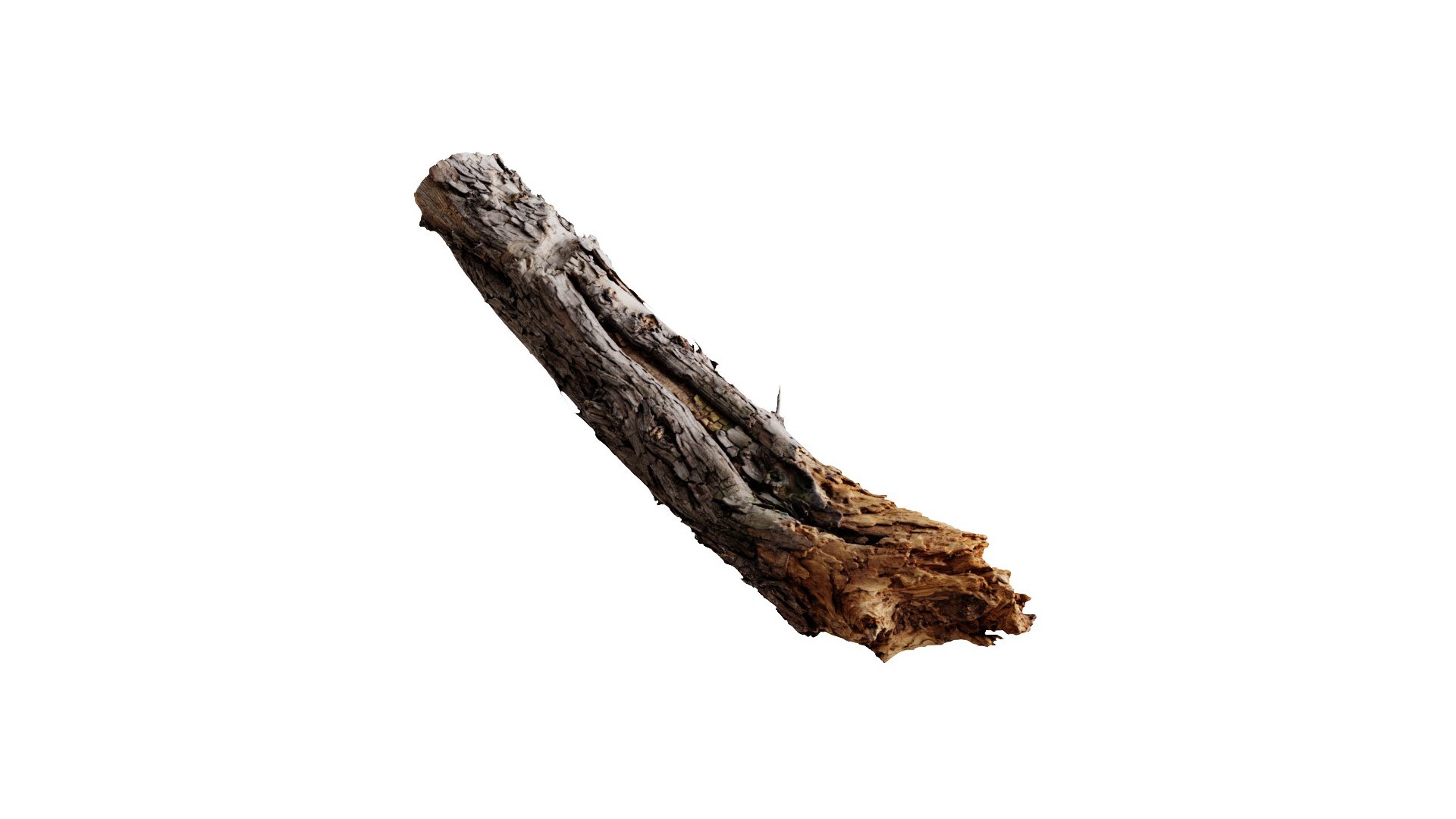 Big Old Log Fbx 3D Model - TurboSquid 1753449