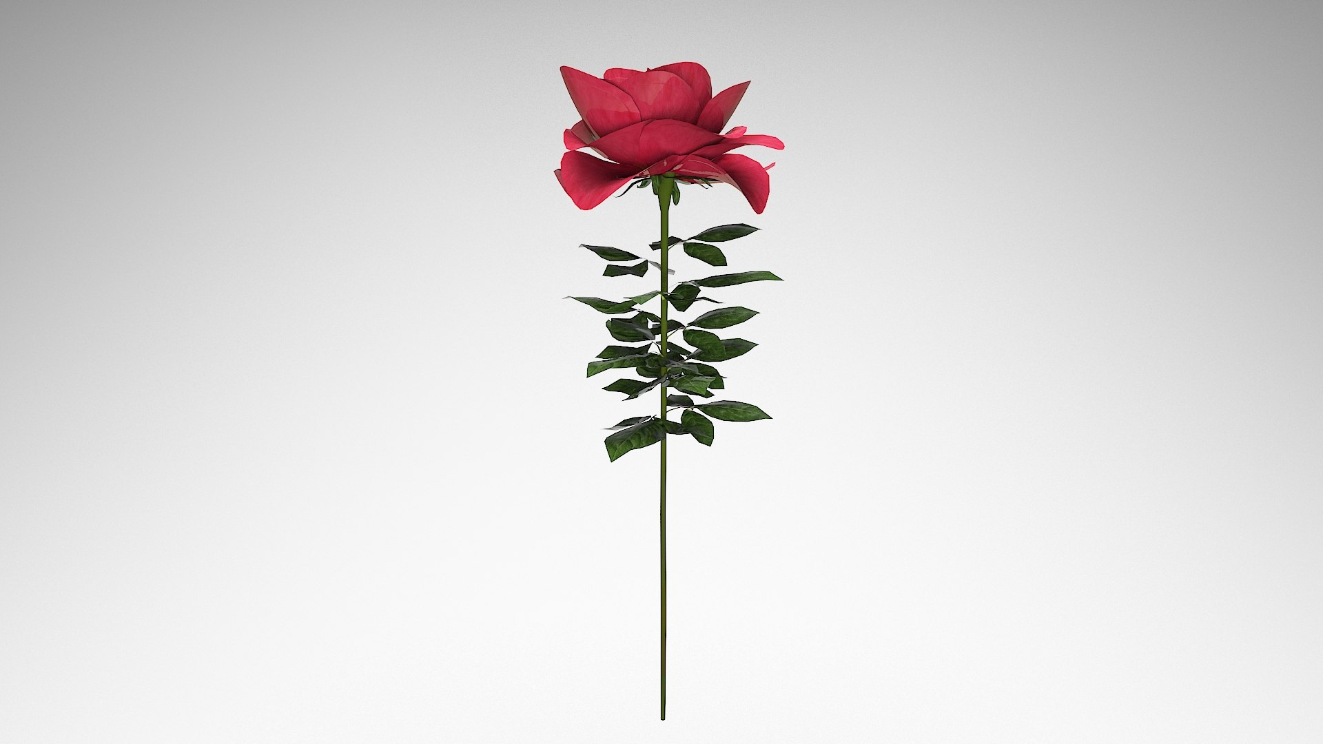 3D Red Rose Model - TurboSquid 1189859