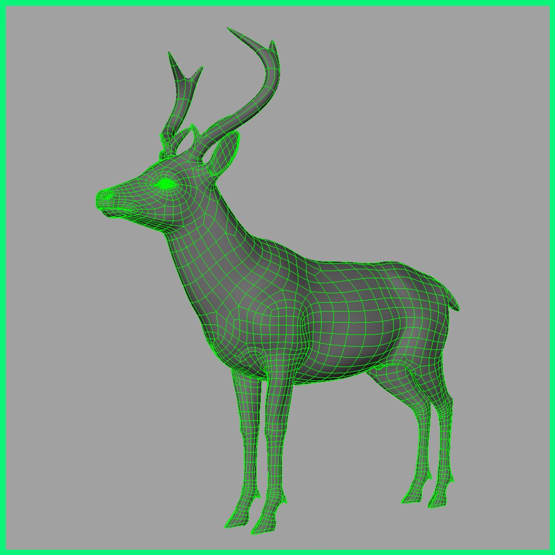Maya Deer Does