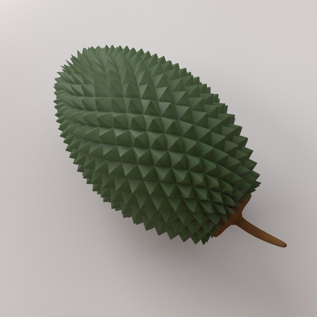 Durian 3D model - TurboSquid 1857490