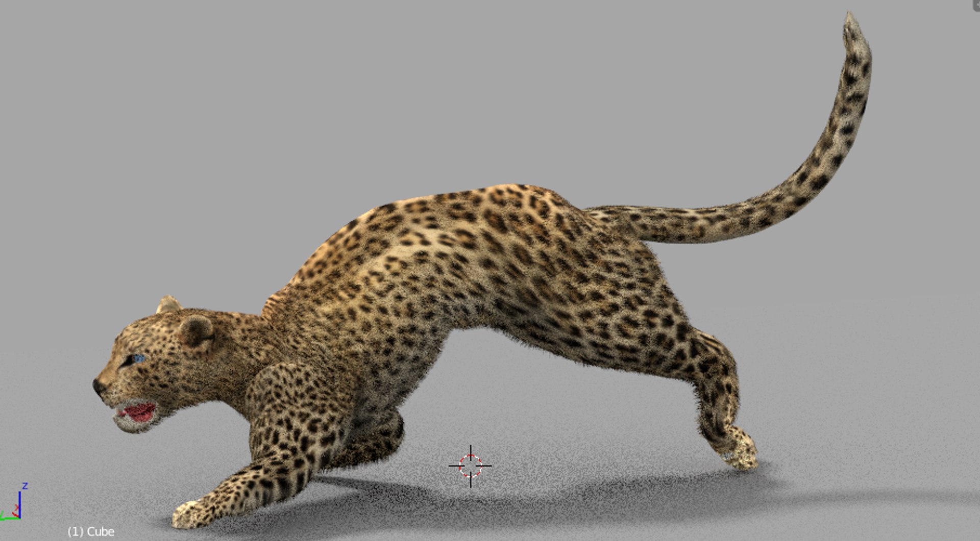 Leopard 3D Model - TurboSquid 1300092