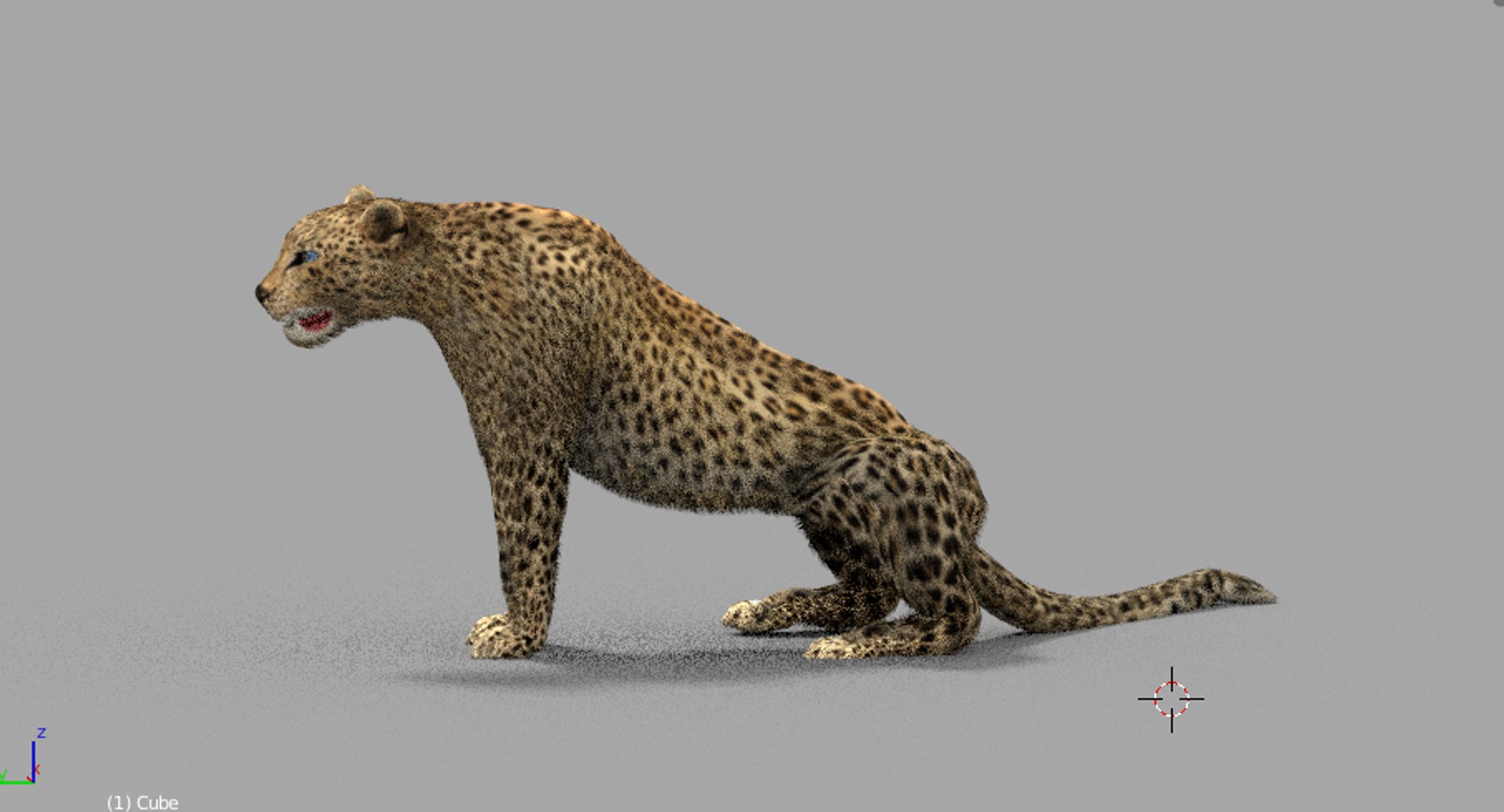 Leopard 3D Model - TurboSquid 1300092