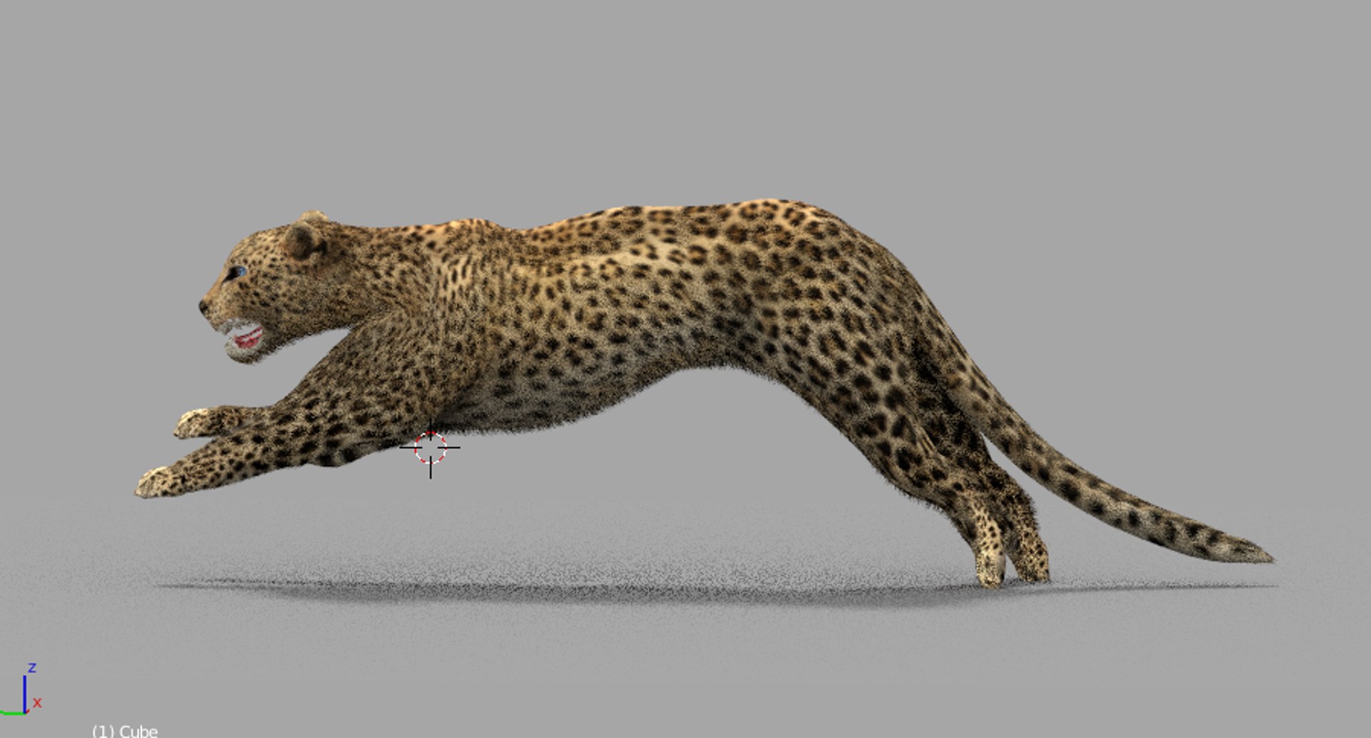 Leopard 3D Model - TurboSquid 1300092