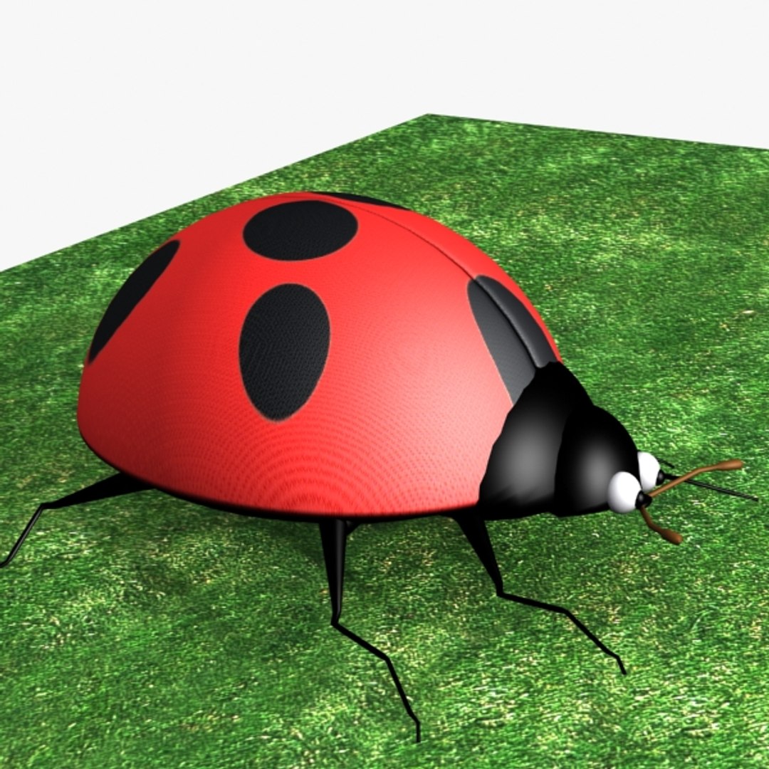 Ladybug Bug 3d Max