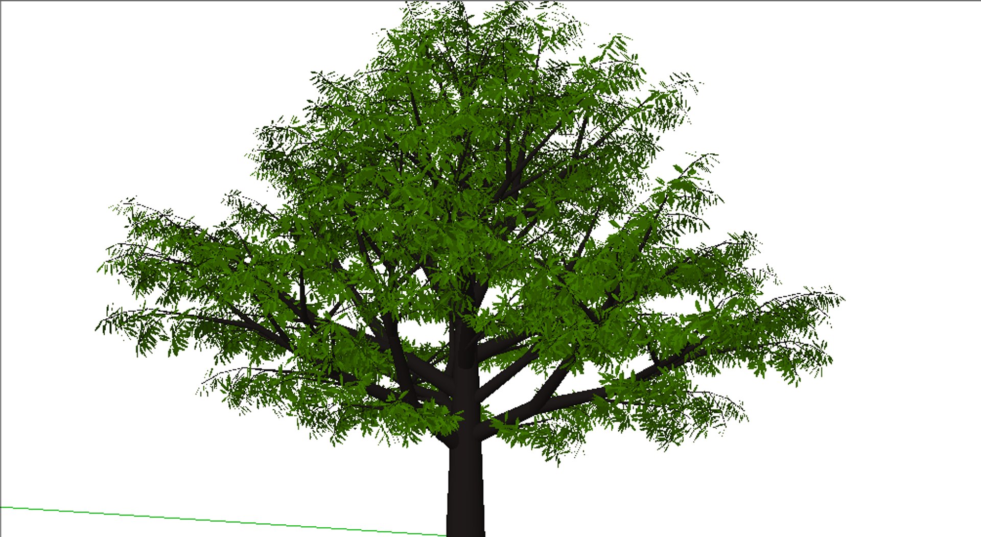 3d Model Mango Tree