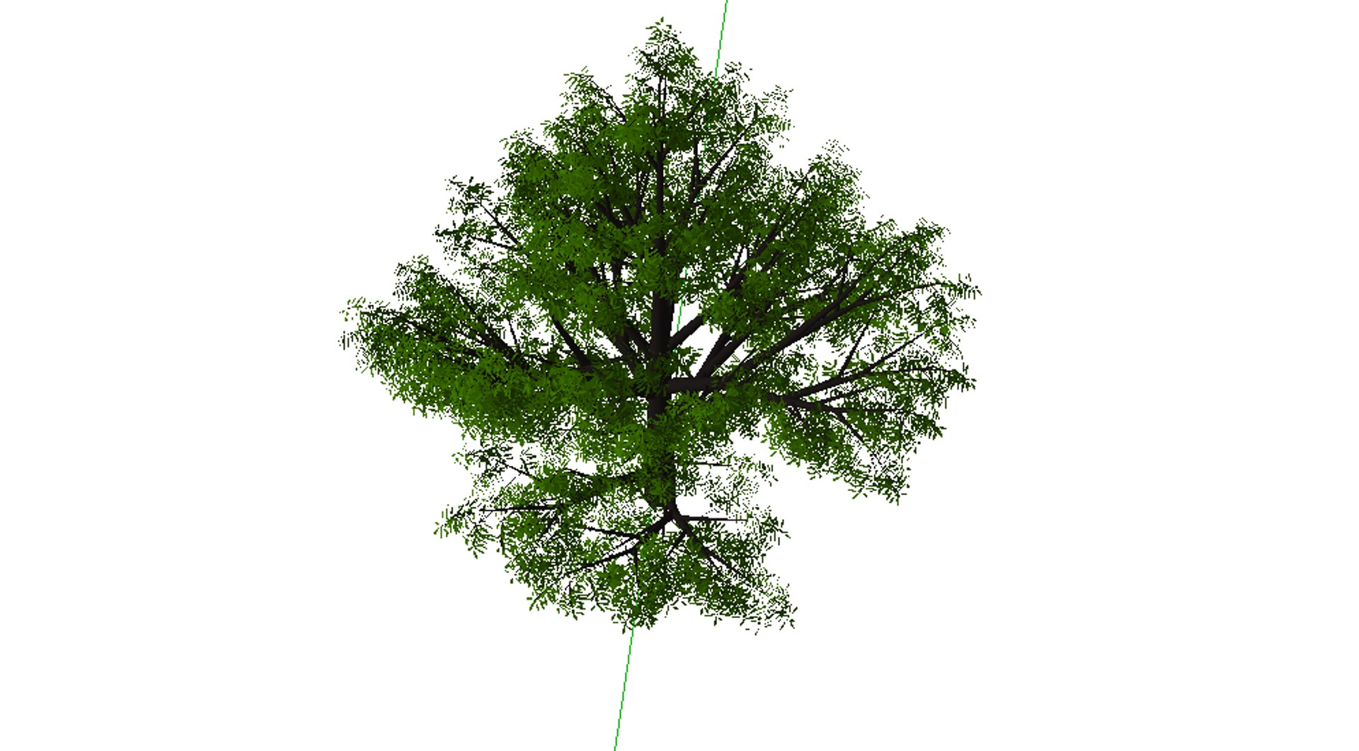 3d Model Mango Tree