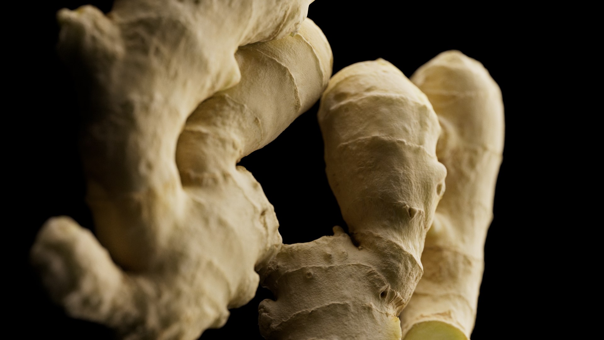3D Model Ginger - TurboSquid 1873572