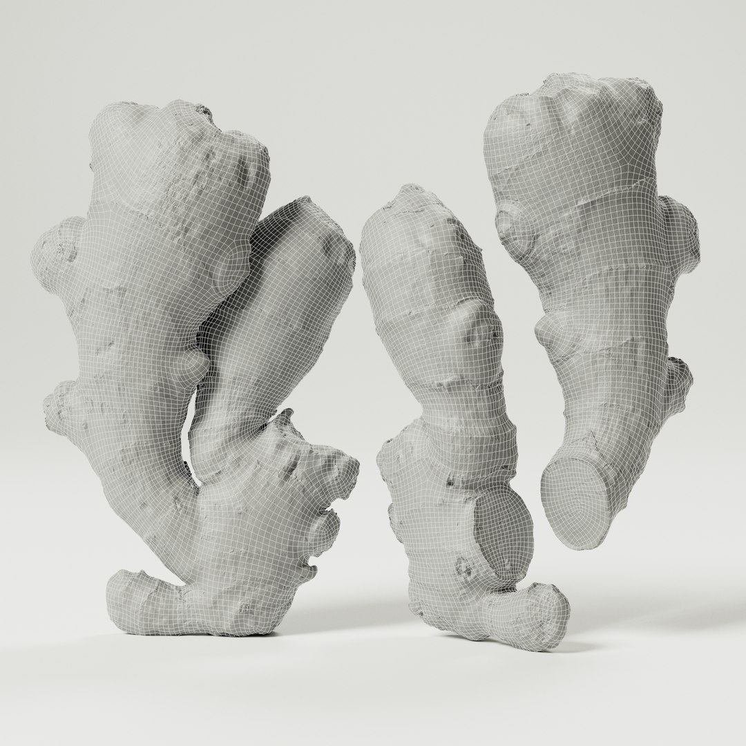 3D Model Ginger - TurboSquid 1873572