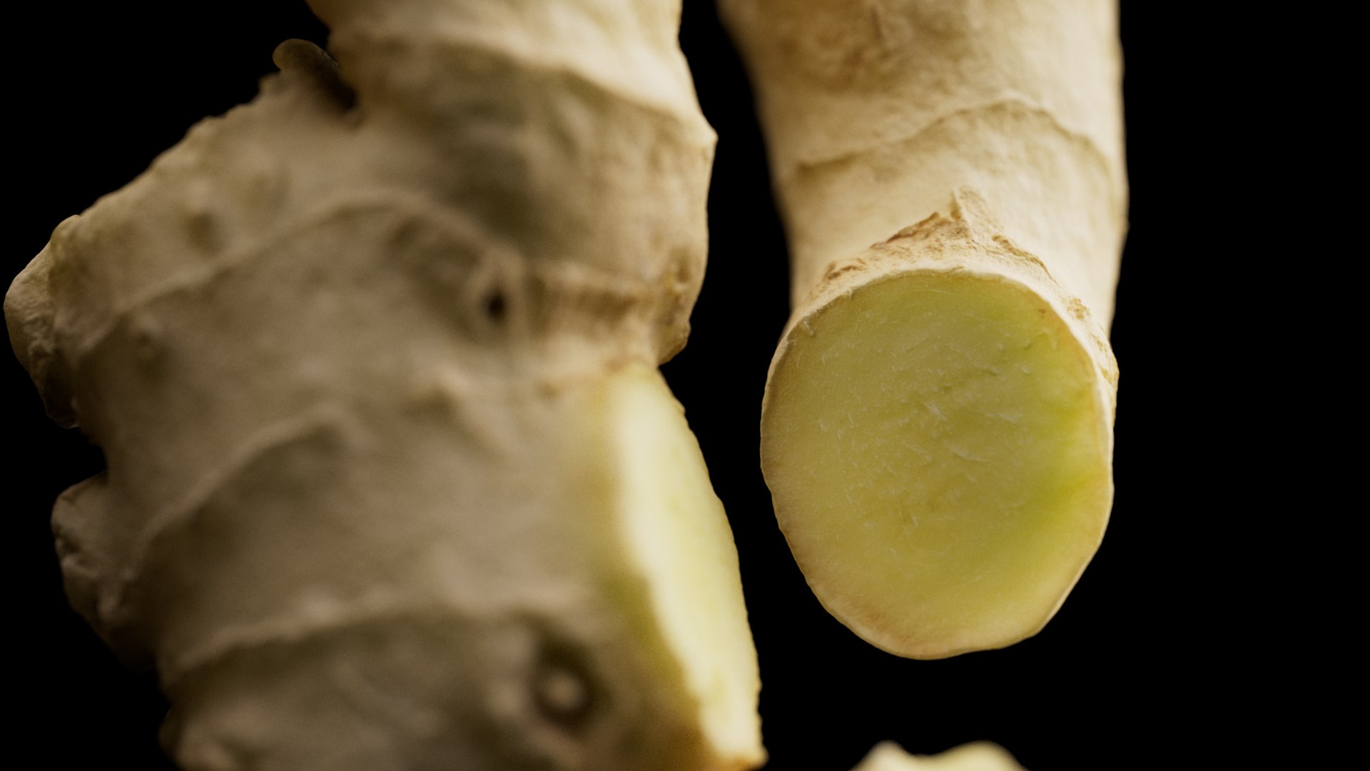 3D Model Ginger - TurboSquid 1873572