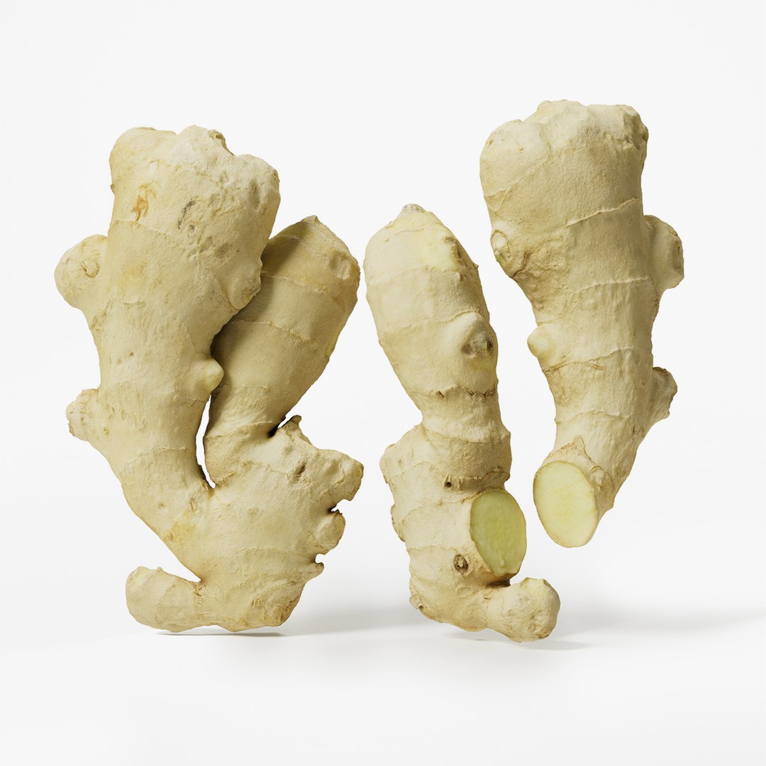 3D Model Ginger - TurboSquid 1873572