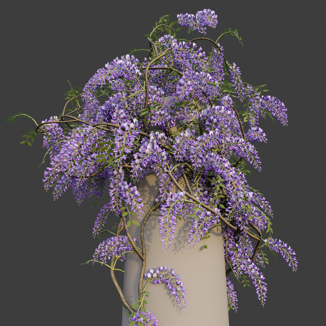 XfrogPlants Chinese Wisteria - Wisteria Sinensis 3D model - TurboSquid ...