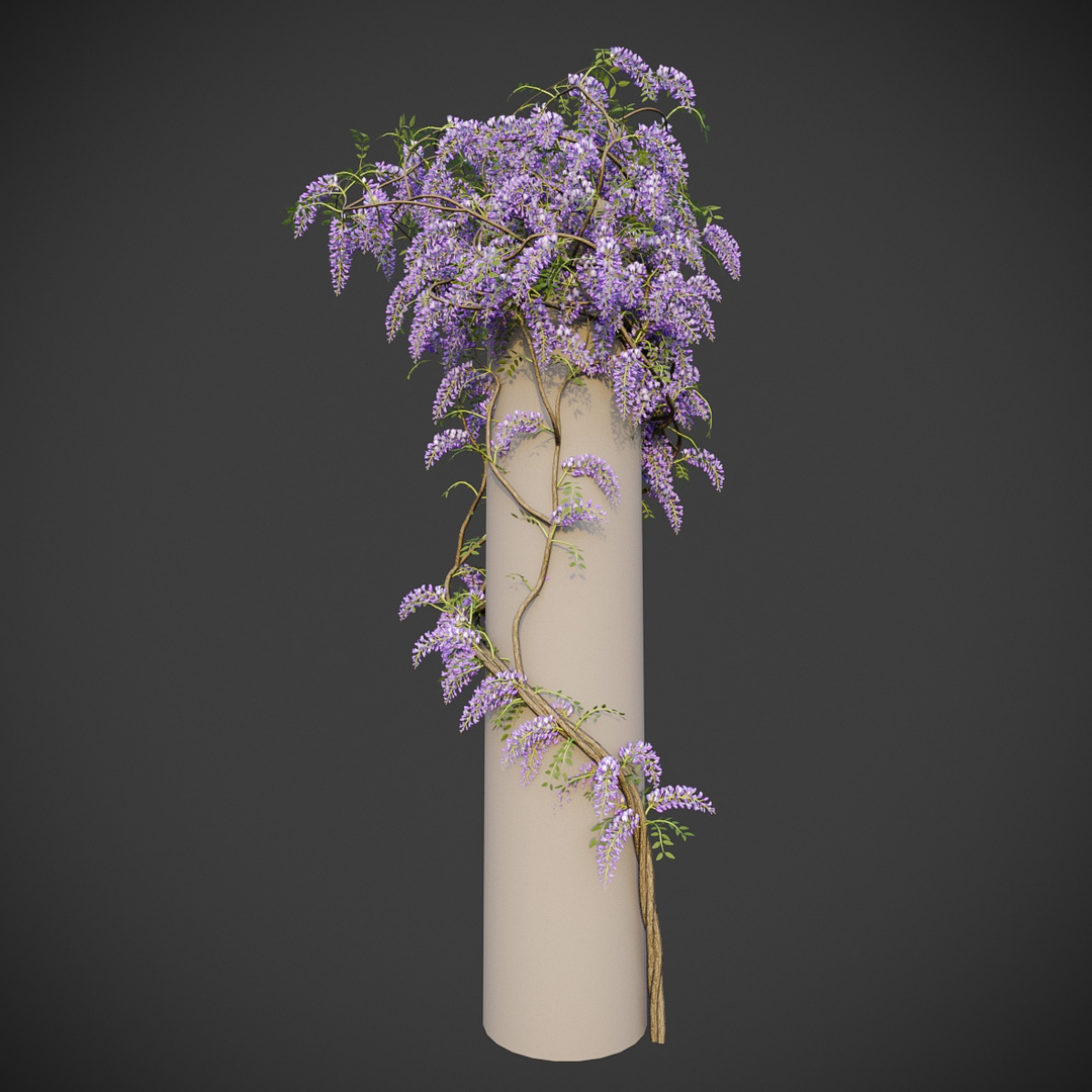 XfrogPlants Chinese Wisteria - Wisteria Sinensis 3D model - TurboSquid ...