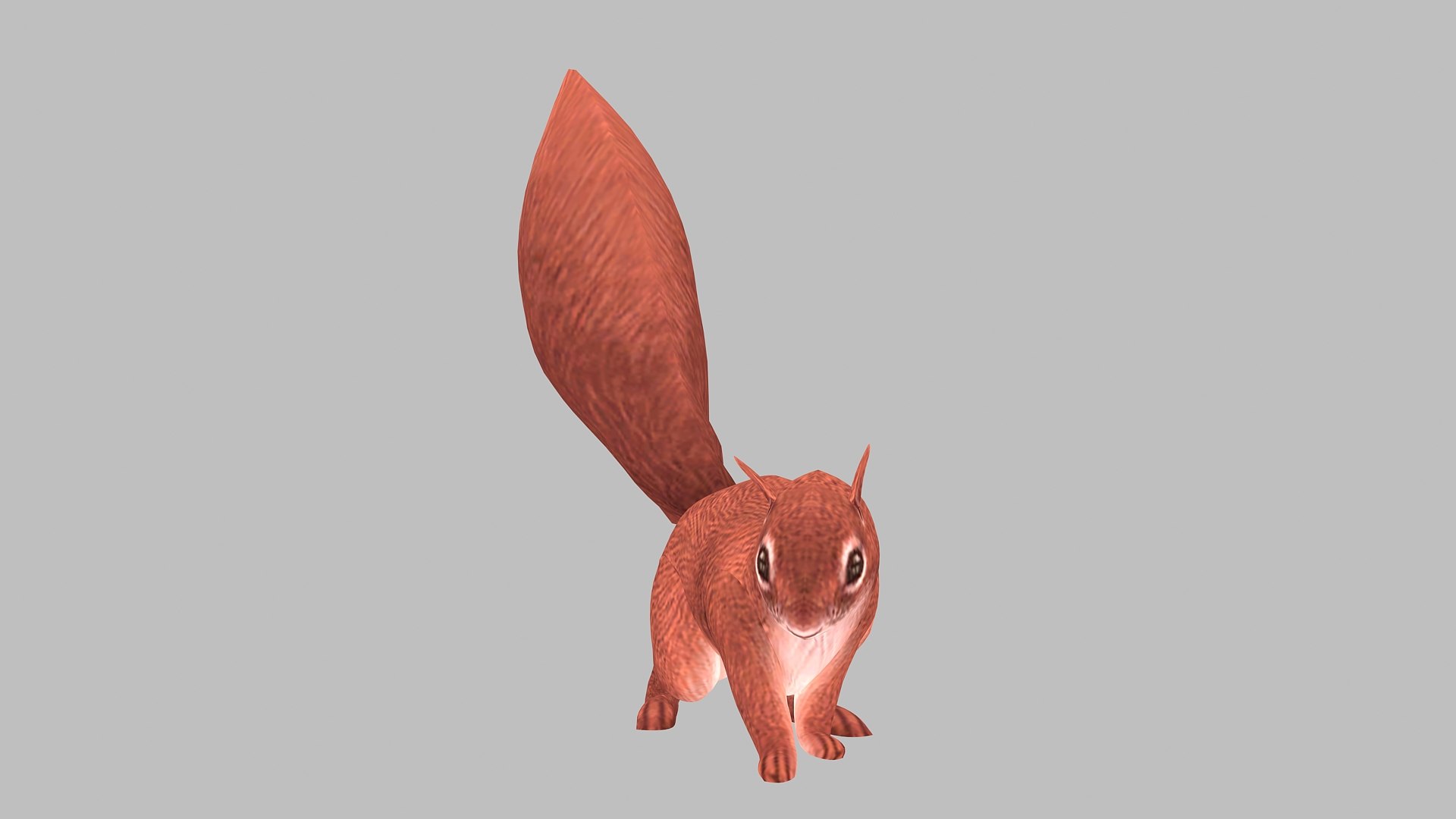 3D Squirrel Model - TurboSquid 2185042
