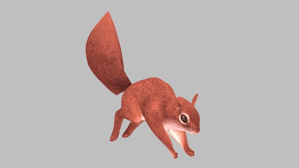 modelo 3d Ardilla - TurboSquid 2185042