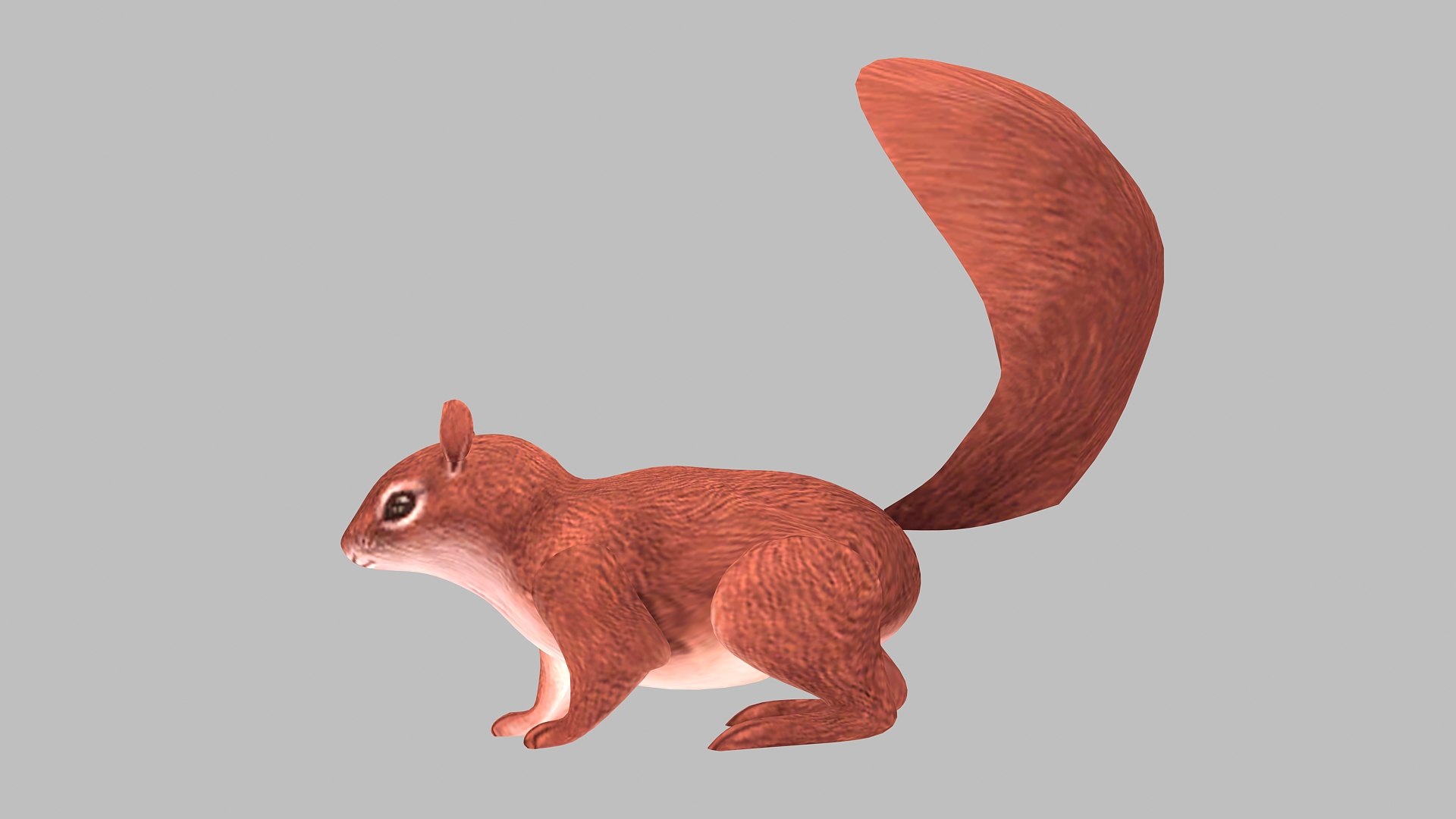 3D Squirrel Model - TurboSquid 2185042