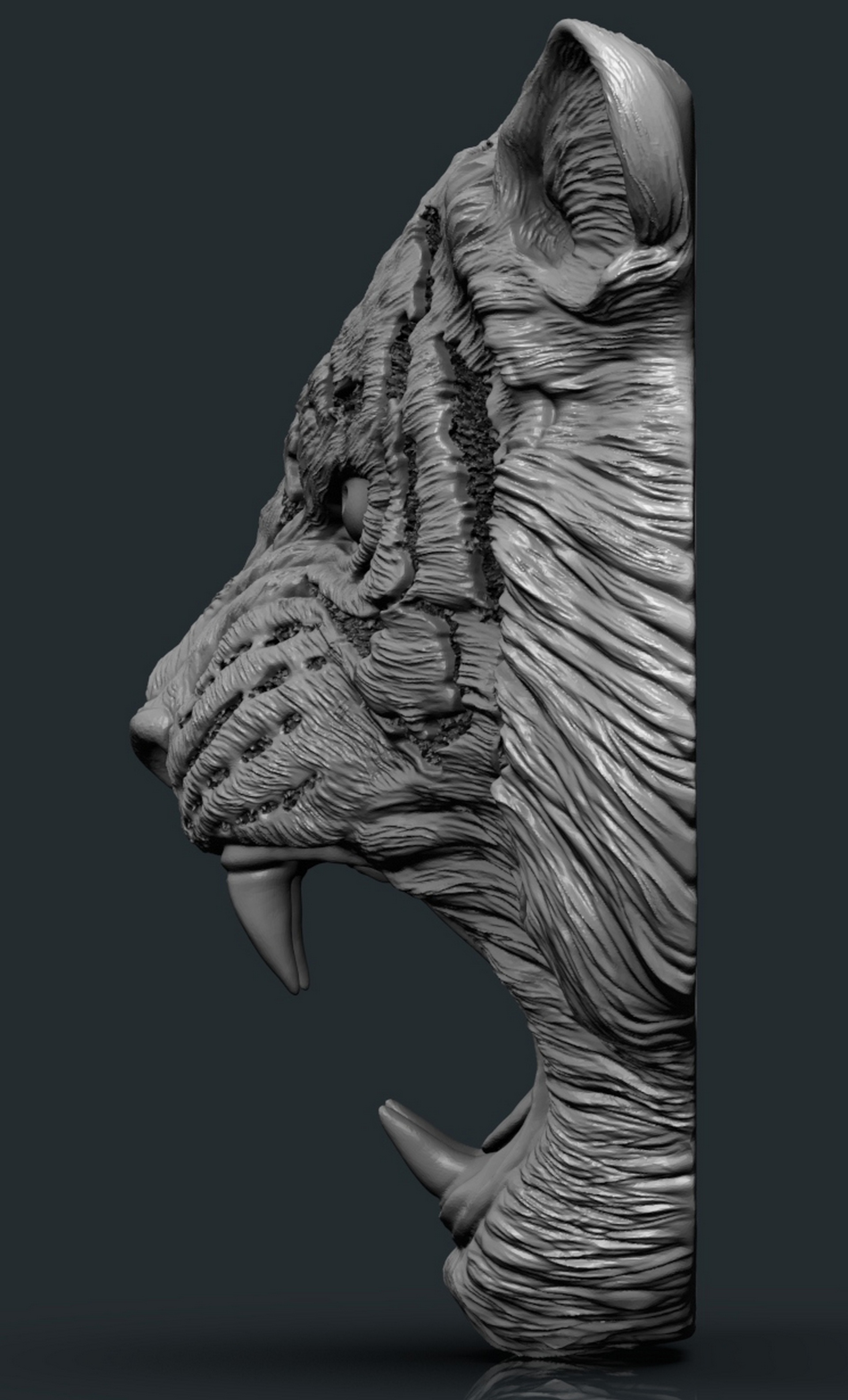 Bas-relief Tiger Head Collection model - TurboSquid 1833154