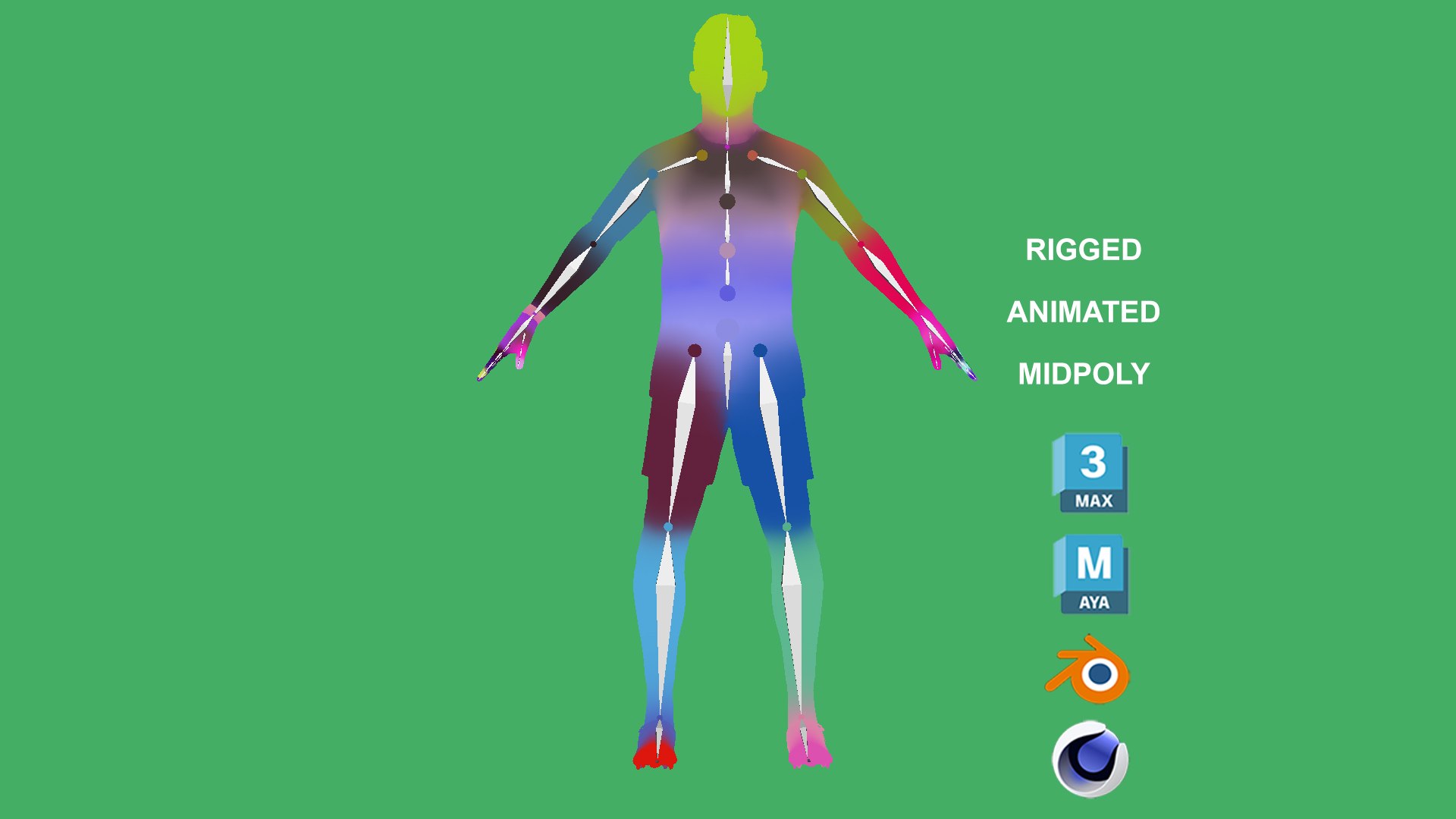 3D Rigged James Maddison Tottenham Hotspur 2024 model - TurboSquid 2122882