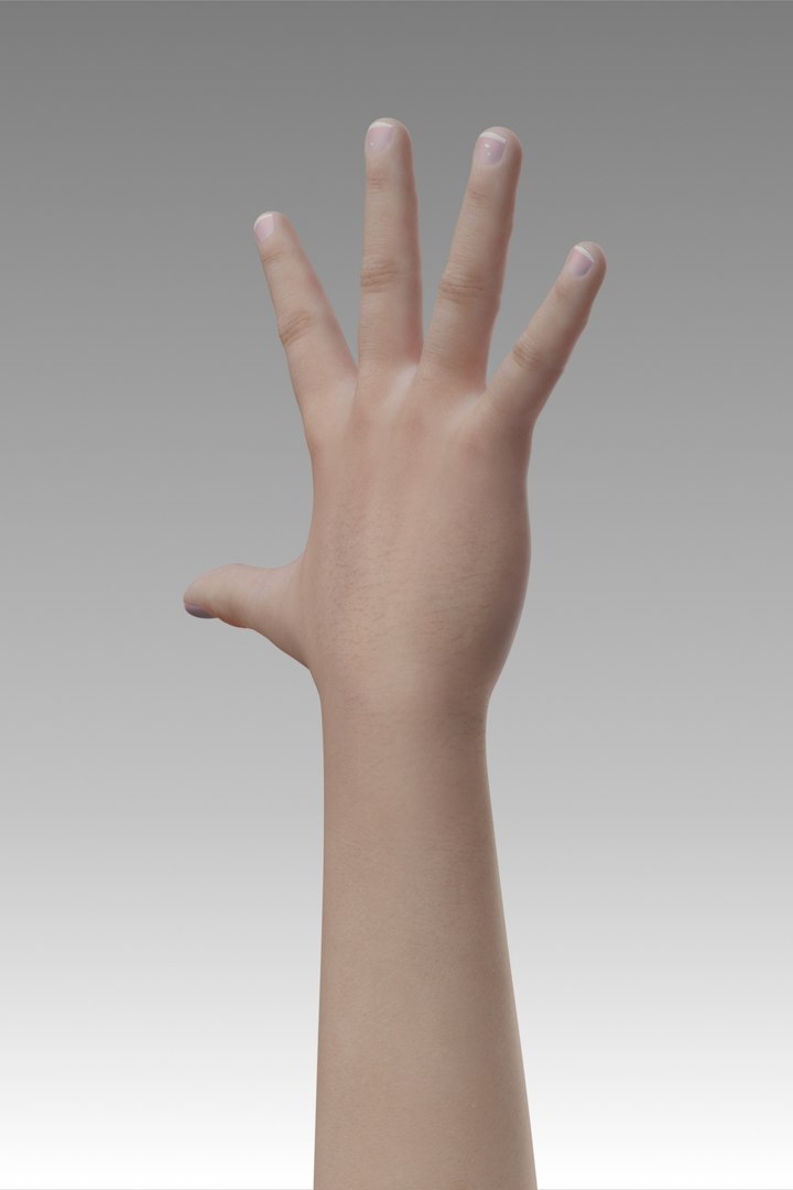 Realistic Hand 3d Obj