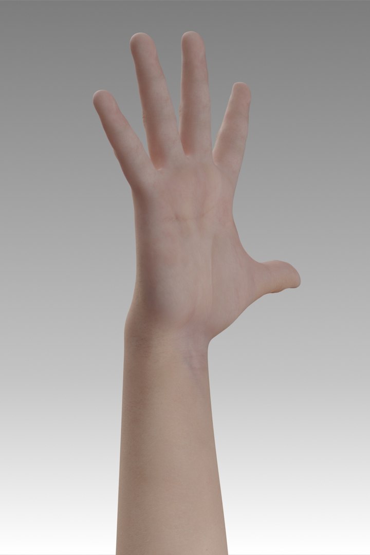 Realistic Hand 3d Obj