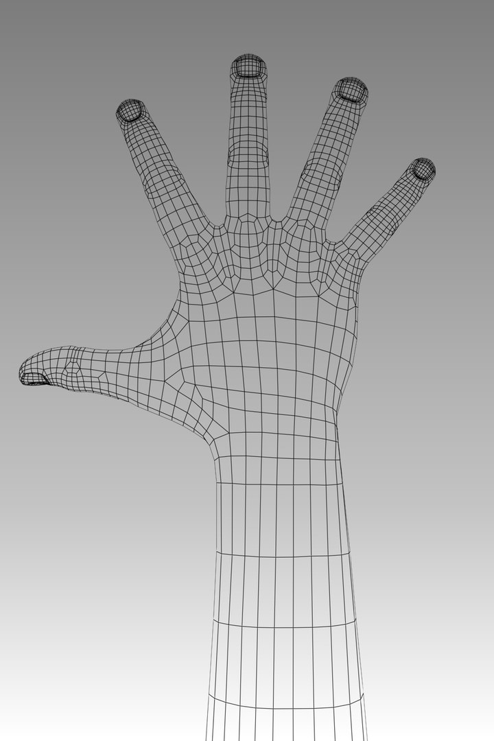Realistic Hand 3d Obj