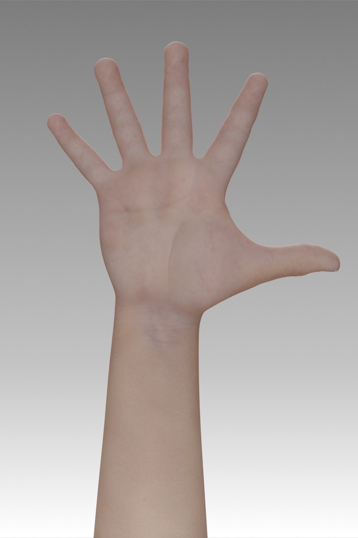 Realistic Hand 3d Obj