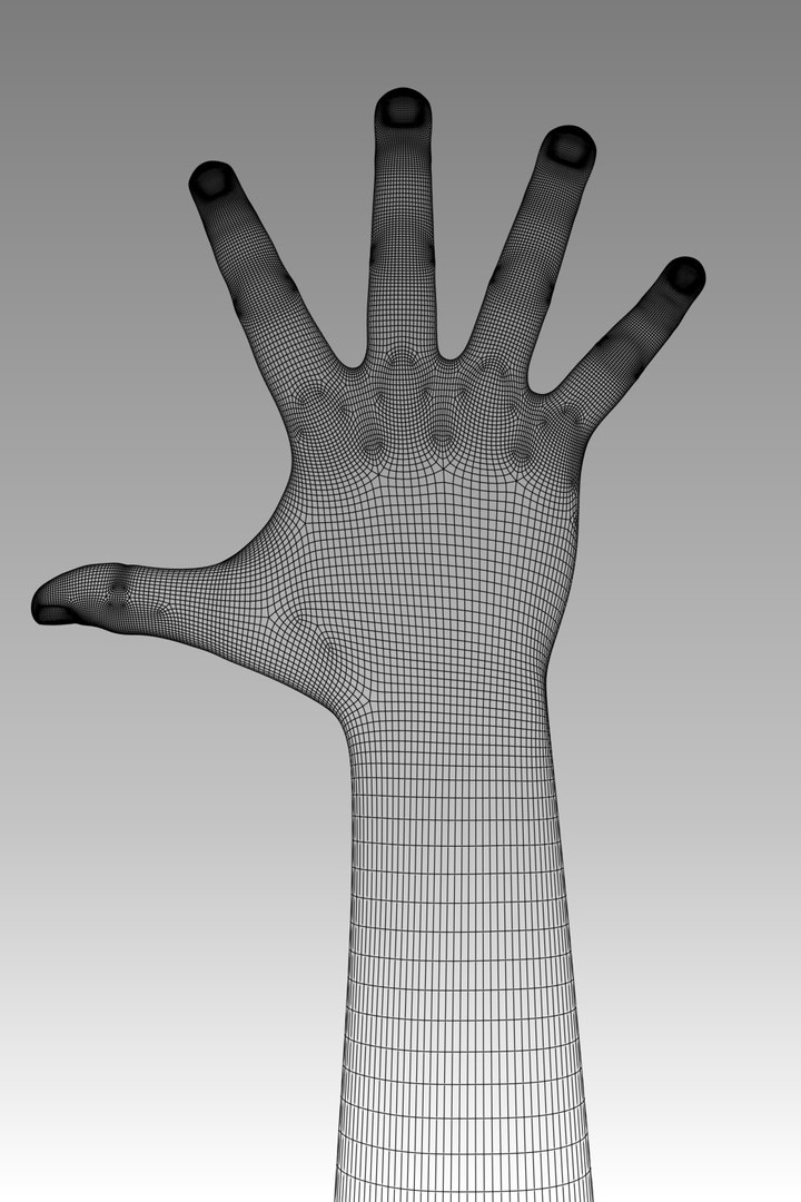 Realistic Hand 3d Obj