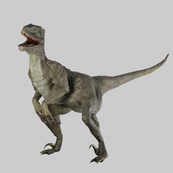 Raptor High Detail Rigged 3D 모델 - TurboSquid 1970148