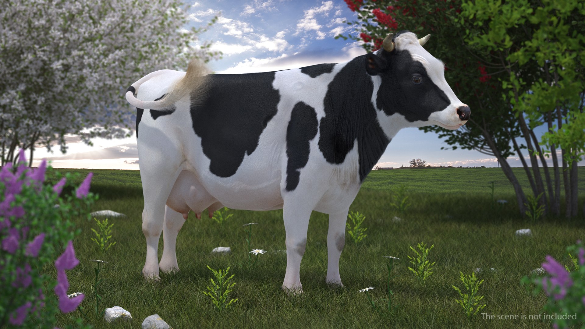 3D cow farm animal - TurboSquid 1565247