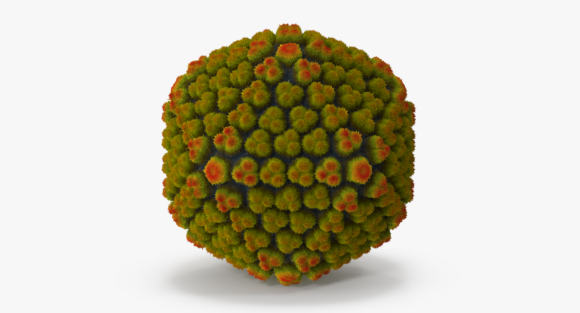 3d Model Virus Adeno