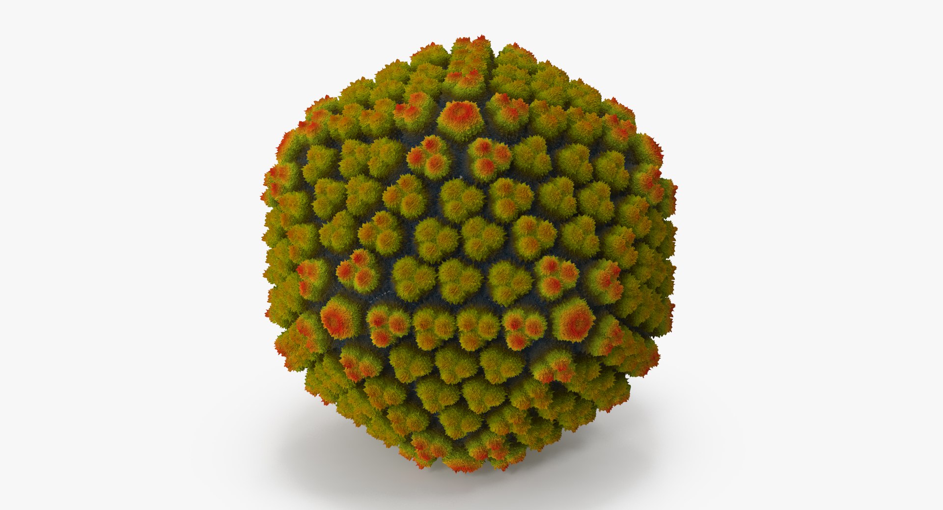 3d Model Virus Adeno