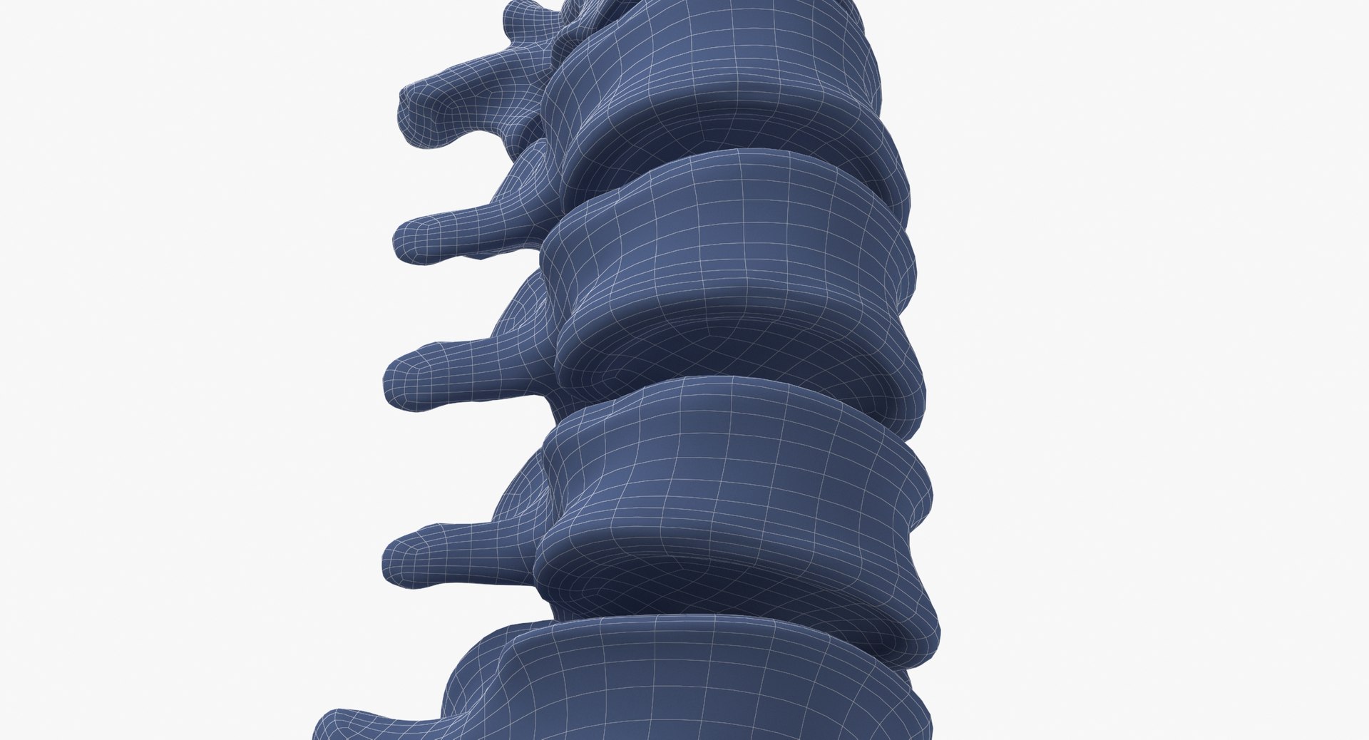 3D model Human Lumbar Vertebrae L1 to L5 Bones Yellow Collection 01 - 2 ...