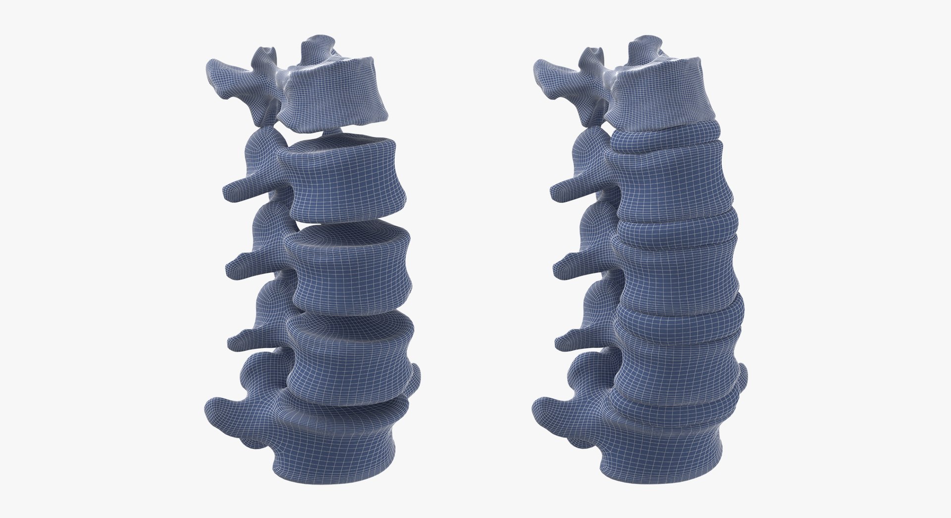 3D model Human Lumbar Vertebrae L1 to L5 Bones Yellow Collection 01 - 2 ...