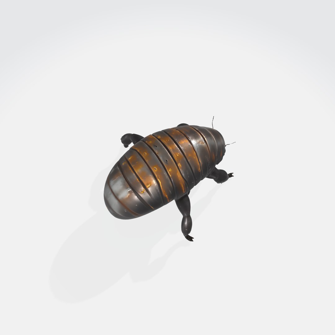 3D Armored Insect Sculpture Model - TurboSquid 2375219