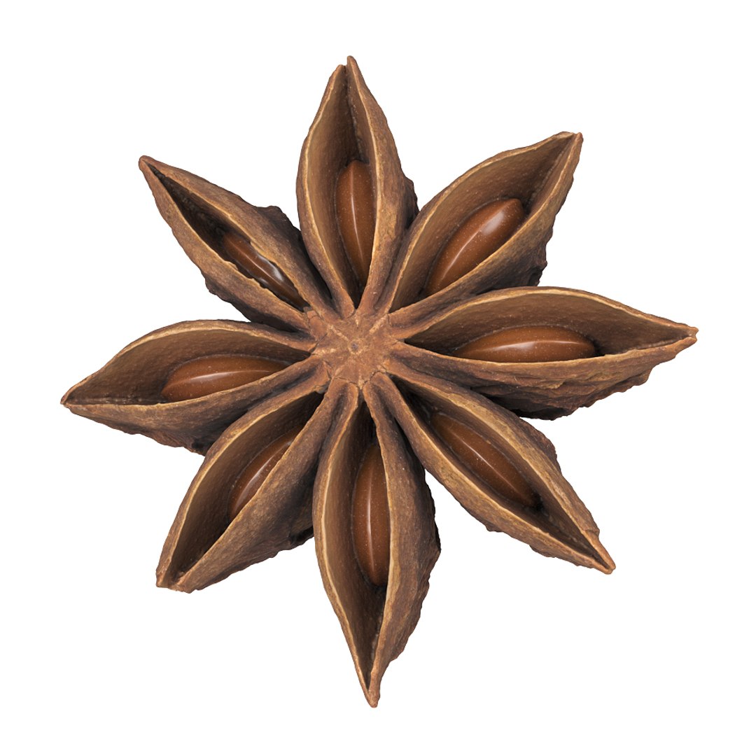 3D Photorealistic Scanned Star Anise - TurboSquid 1599327