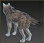 Grey Wolf 3d Model