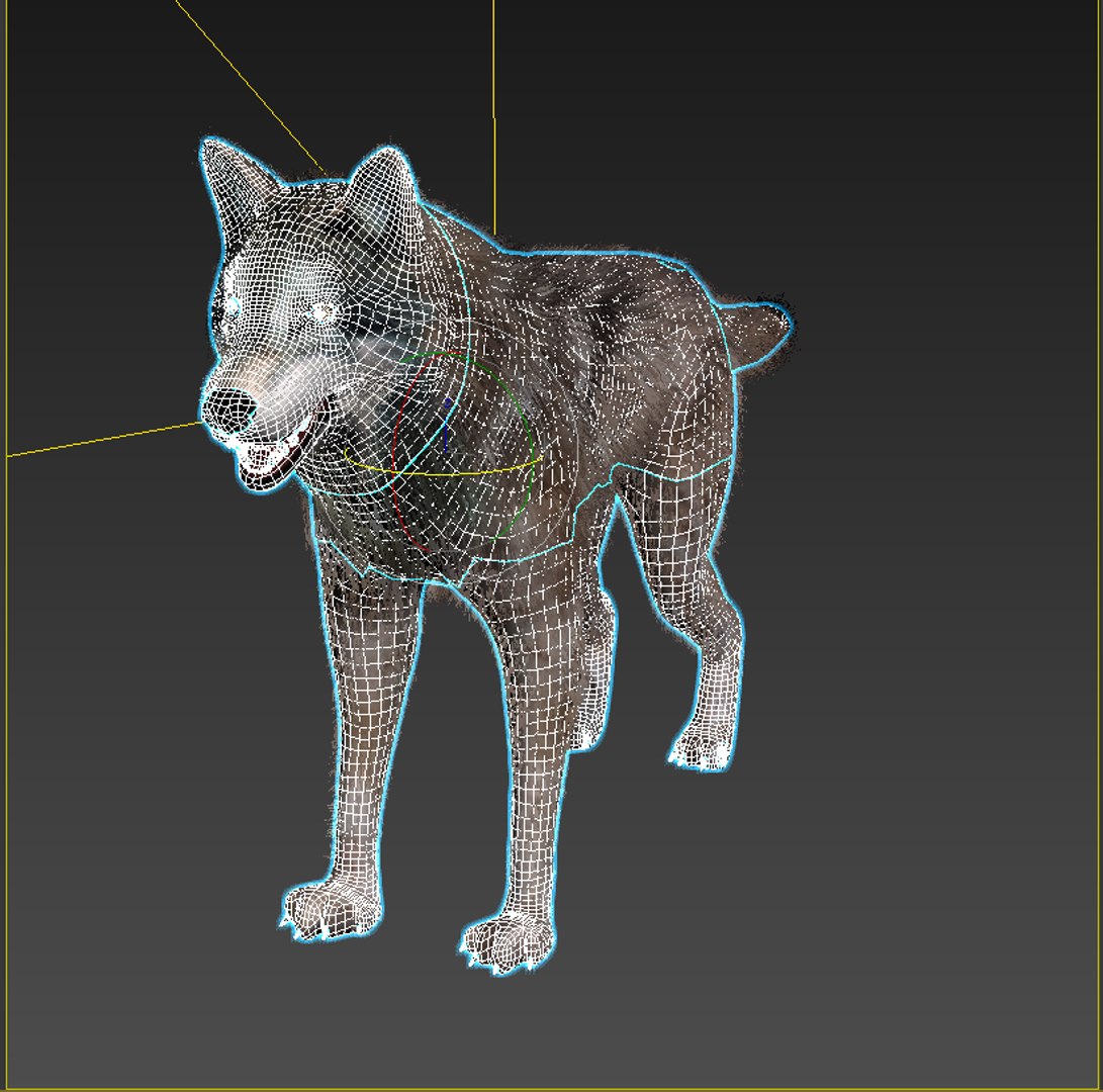 Grey Wolf 3d Model