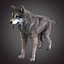 Grey Wolf 3d Model