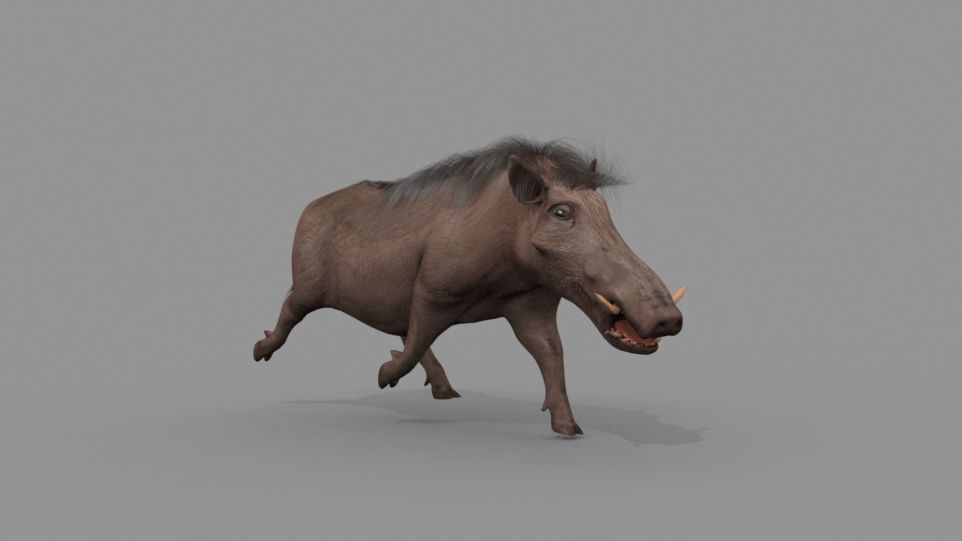 3D Warthog African Pig - Animated 3d Fur Model - TurboSquid 2255823
