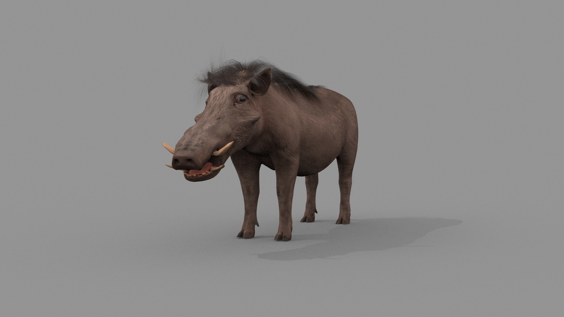3D Warthog African Pig - Animated 3d Fur Model - TurboSquid 2255823