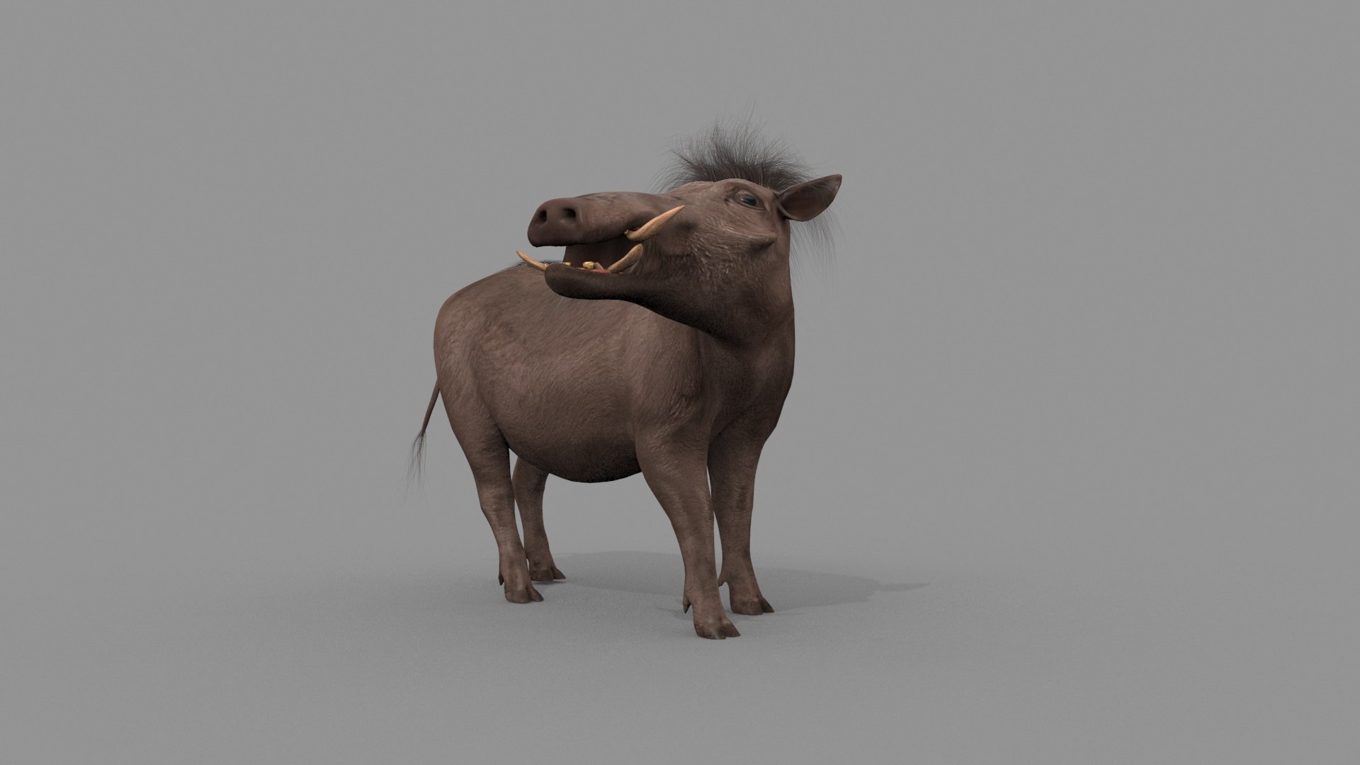 3D Warthog African Pig - Animated 3d Fur Model - TurboSquid 2255823