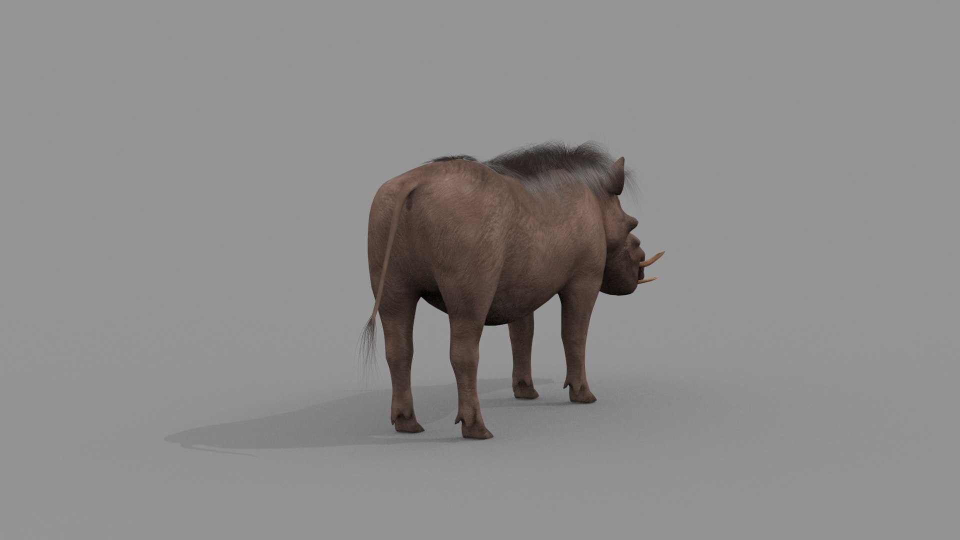 3D Warthog African Pig - Animated 3d Fur Model - TurboSquid 2255823