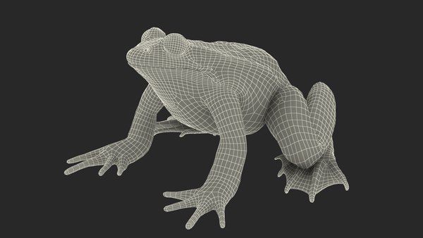 3D Frog Sitting Pose - TurboSquid 1737530