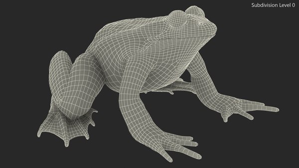 3D Frog Sitting Pose - TurboSquid 1737530