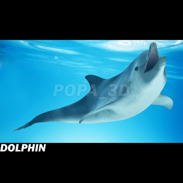 Dolphin 3D Models for Download | TurboSquid