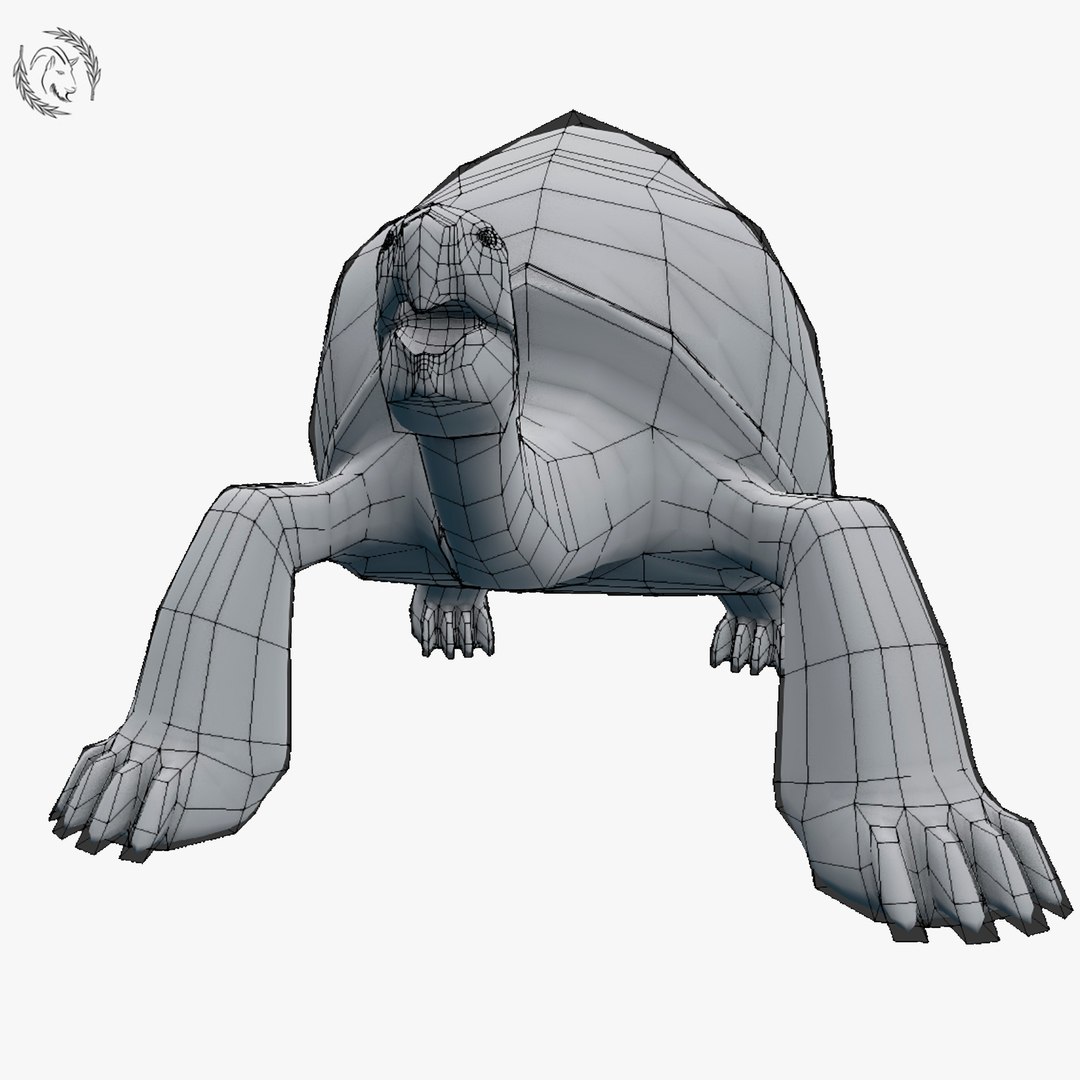 Free Galapagos Tortoise 3D Model - TurboSquid 1210864