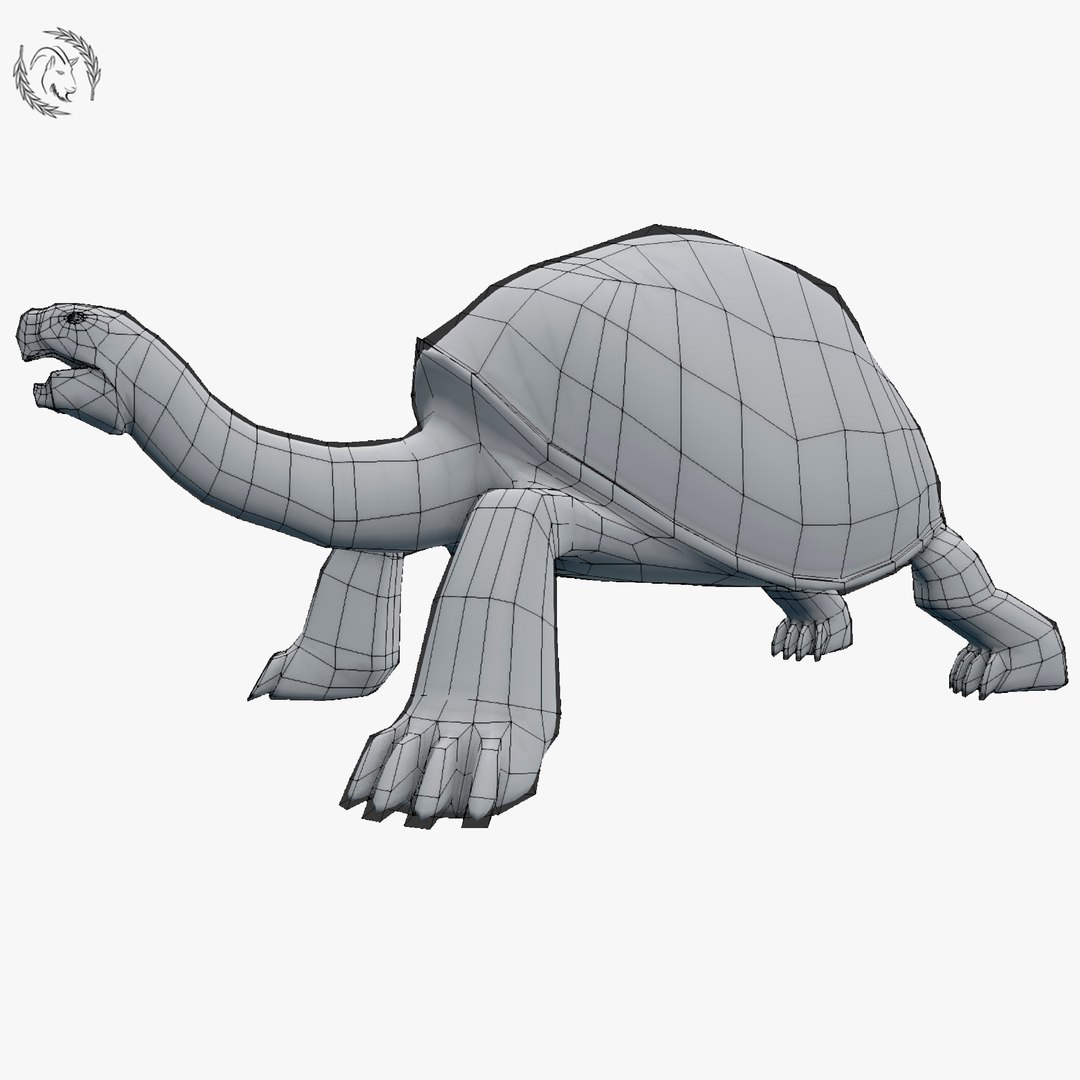 Free Galapagos Tortoise 3D Model - TurboSquid 1210864