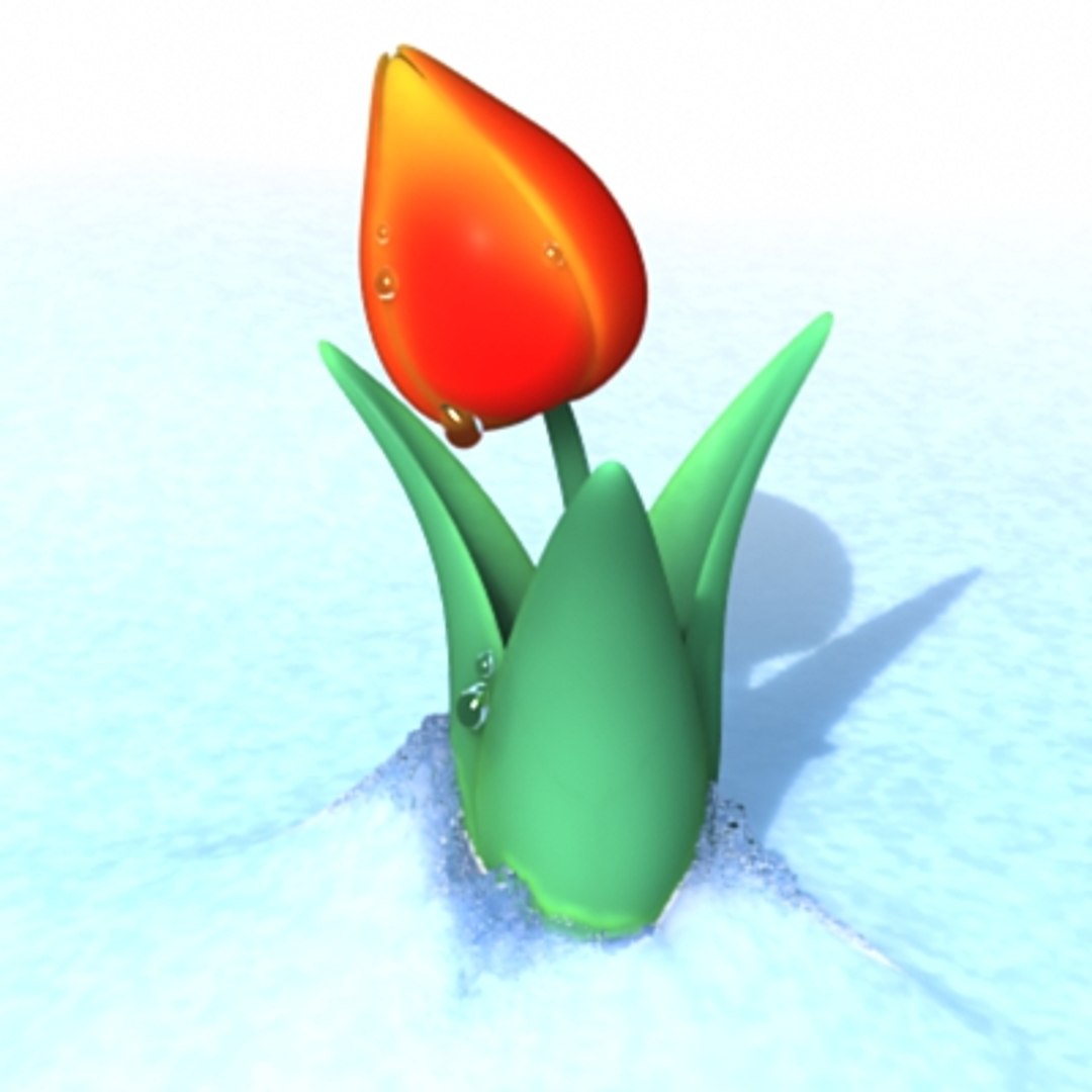 3d tulip model