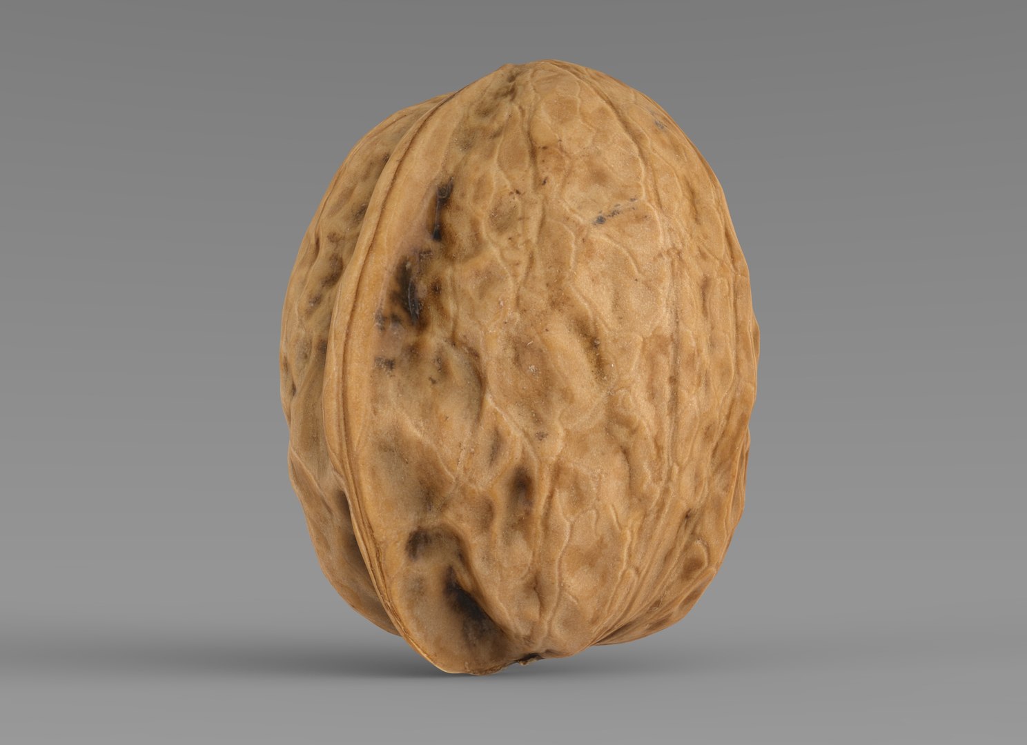 3D model Walnuts Set - TurboSquid 1976493